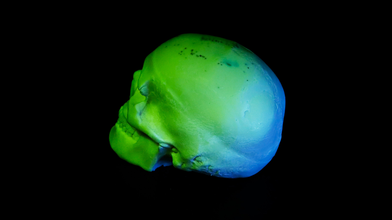 McIntosh Gallery - Western University